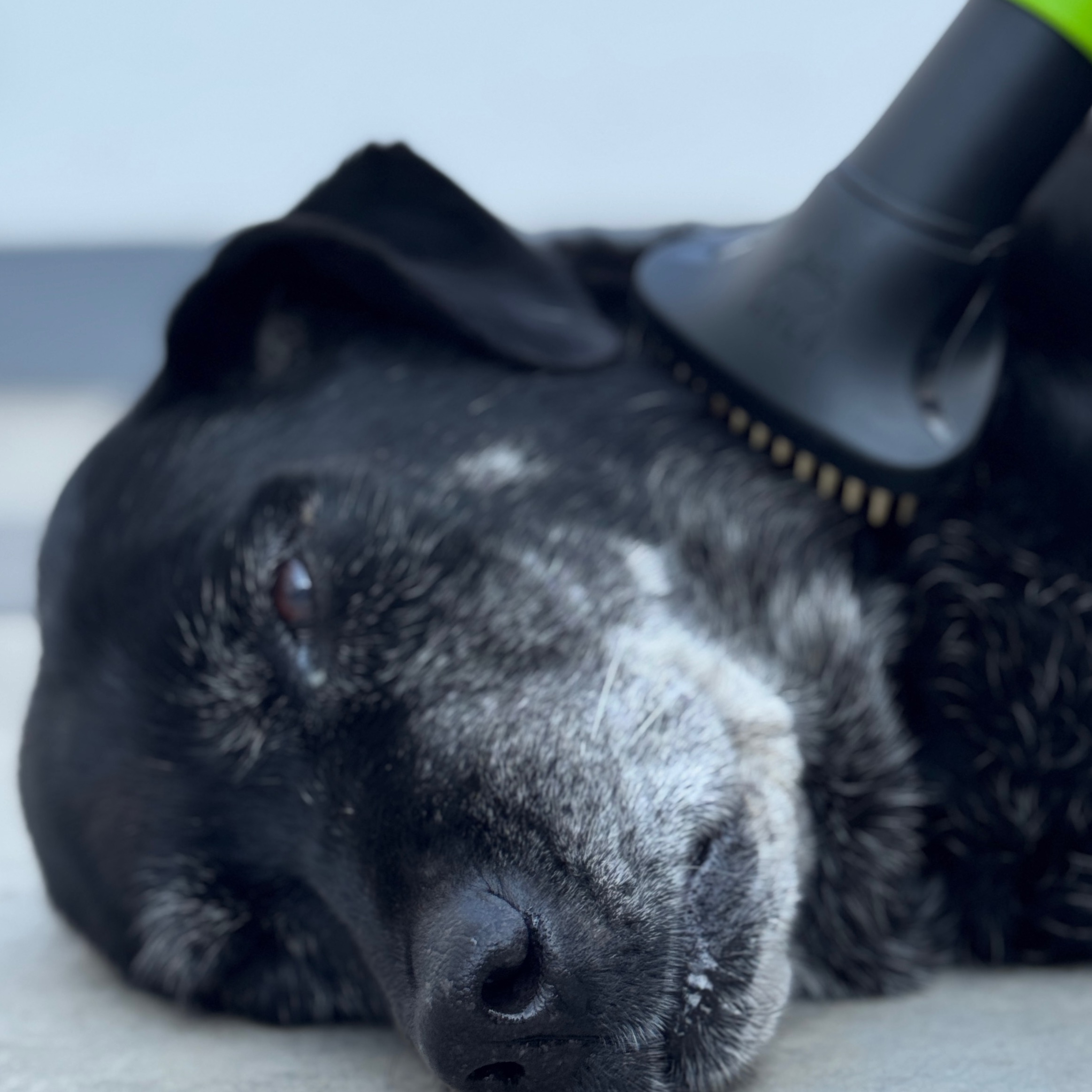 Fish Audio - VOZ ESPAÑOL 2 Voice Generator